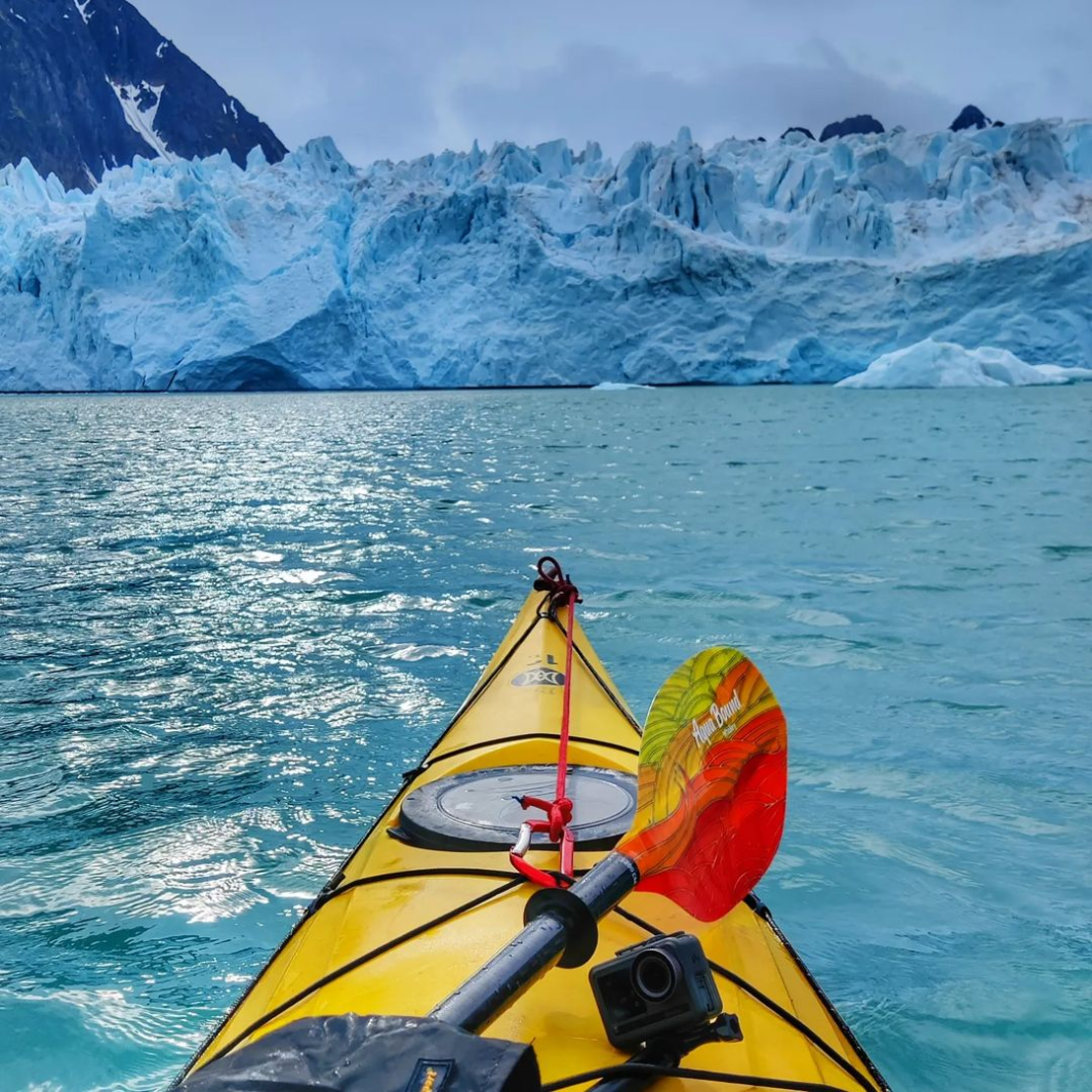 Aquabound Whiskey Fiberglass 2-Piece Bent Shaft Kayak Paddle ...